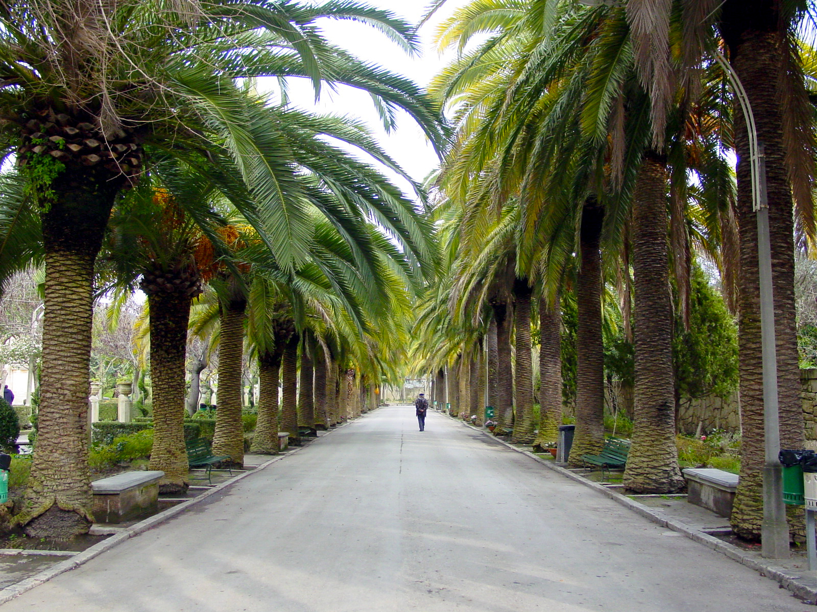 Montalbano s Places
